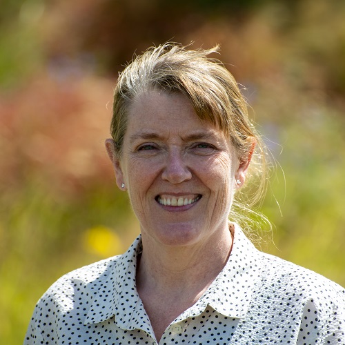 Organizing Committee - WMC 2026